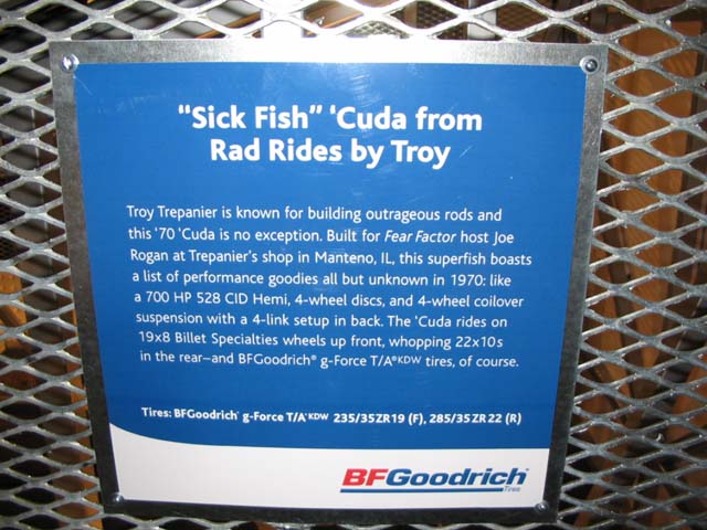 Joe Rogan's Sick Fish... - Tampa Racing